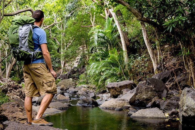 Kauai Wailua Valley & Waterfalls Audio Driving Tour - The Sum Up: Who is This Tour Best For?