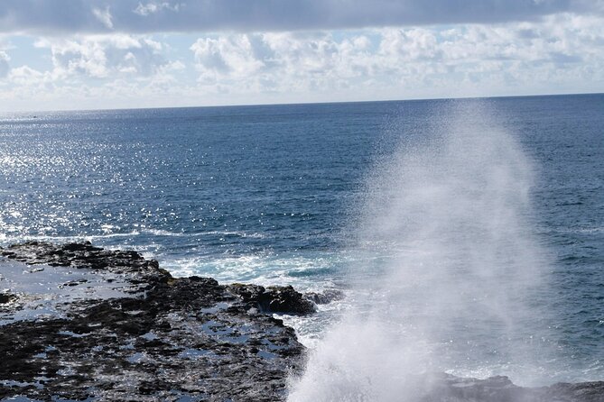 Kauai Waimea Canyon and Koke'e Tour - Who Will Love This Tour?