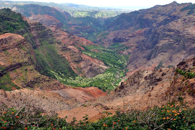 Kauai Waimea Canyon and Koke'e Tour - The Sum Up: Is the Kauai Waimea Canyon and Kokee Tour Worth It?