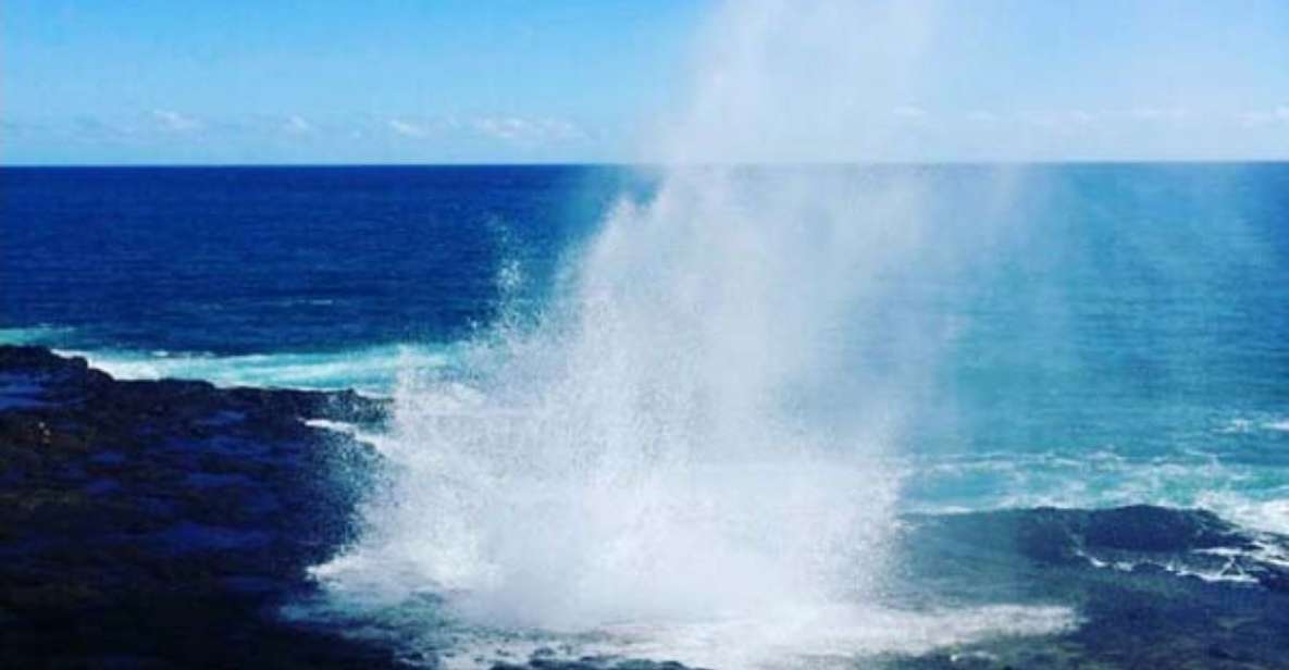 Kauai: Waimea Canyon and Waterfall Adventure Day Tour - Who Is This Tour Best For?