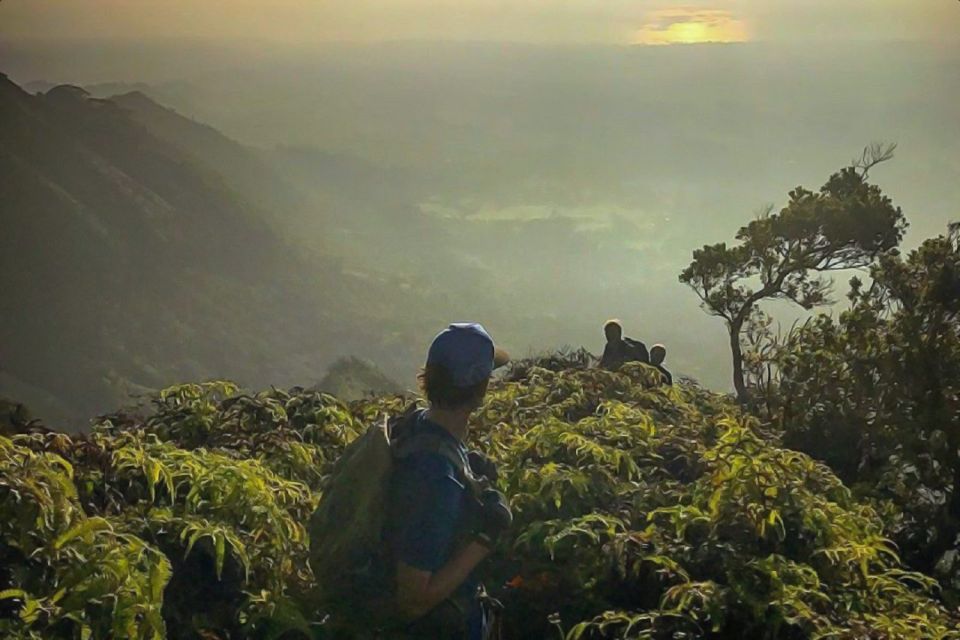 Kauai: Waimea Canyon & Kokee State Park Private Tour - Key Points