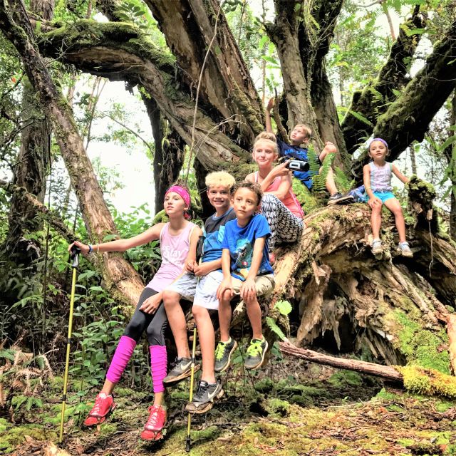 Kauai: Waimea Canyon & Kokee State Park Private Tour - The Itinerary: Exploring Kauai’s Natural Wonders
