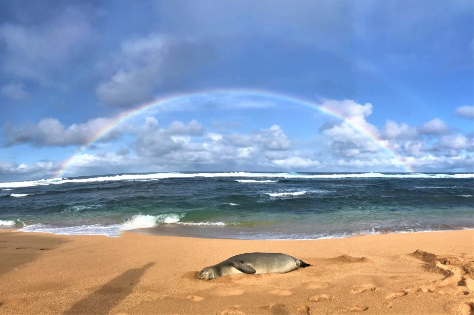 Kauai: Waimea Canyon & Kokee State Park Private Tour - Who Will Love This Tour?