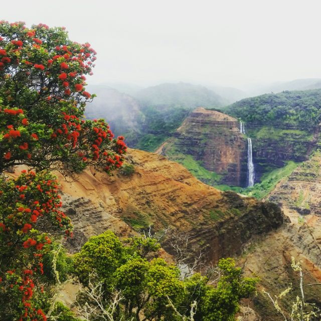 Kauai: Waimea Canyon & Kokee State Park Private Tour - FAQ About the Kauai: Waimea Canyon & Kokee State Park Private Tour