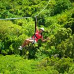 Kauai: Zipline Adventure - What Travelers Say