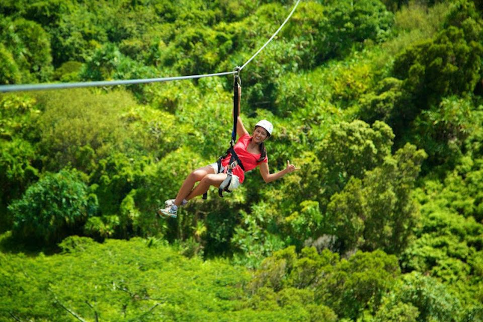 Kauai: Zipline Adventure - What Travelers Say