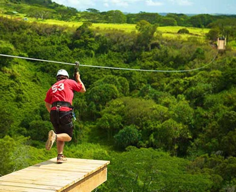 Kauai: Zipline Adventure - The Sum Up: Who Will Love This Tour?
