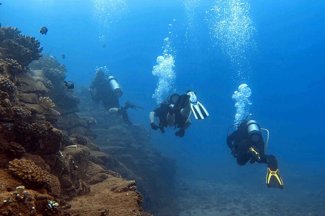 Kauai's Exclusive Morning Scuba Charter for Experienced Divers - Onboard Amenities and Gear
