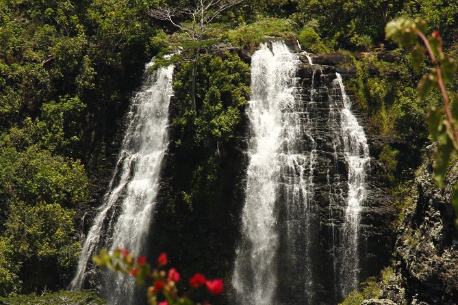 Kauai's South & East Small-Group Tour: Legends & Waterfalls - Final Thoughts