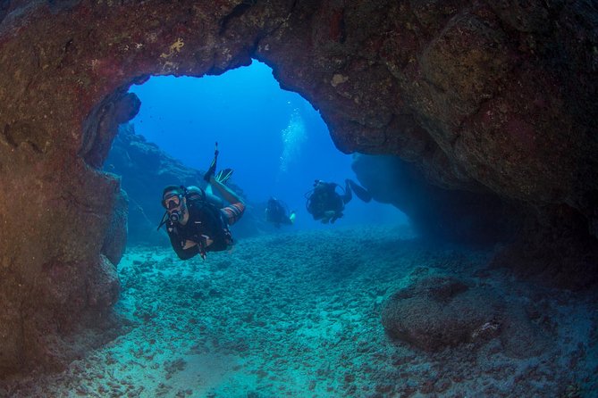 Kauai's Ultimate Boat 2 Tank Adventure Dive Certified Divers Only - The Details That Add Value