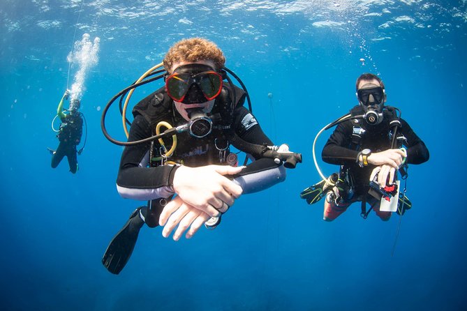 Kauai's Ultimate Discover Scuba Dive - OCEAN EXPERIENCE (1 Tank Dive) - The Authentic Marine Encounter