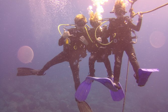 Kauai's Ultimate Discover Scuba Dive - OCEAN EXPERIENCE (1 Tank Dive) - Frequently Asked Questions