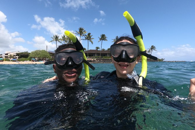 Kauais Ultimate Guided Shore Snorkel: South Poipu - The Experience Through Reviewers Eyes