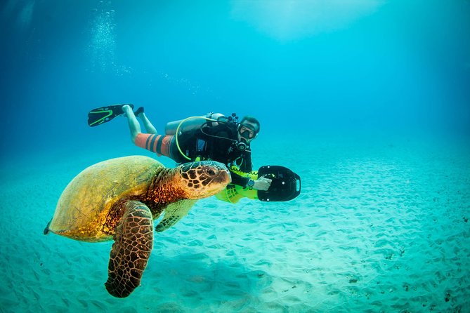 Kauai's Ultimate Scooter Adventure 2 Tank Dive (Advance Certified Divers Only) - Key Points