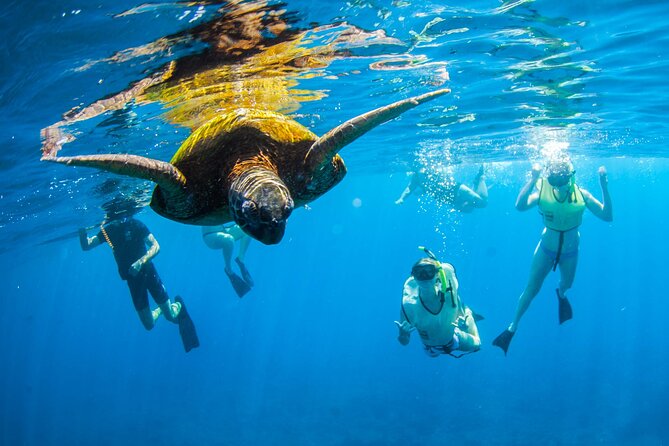 Kauai's Ultimate South Island Zodiac Boat Snorkel Adventure - A Closer Look at the Itinerary