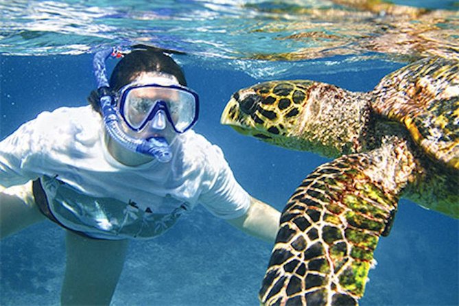 Kauai's Ultimate South Island Zodiac Boat Snorkel Adventure - Why It’s a Great Value