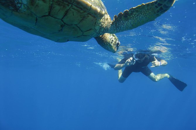 Kauai's Ultimate South Island Zodiac Boat Snorkel Adventure - Practical Considerations