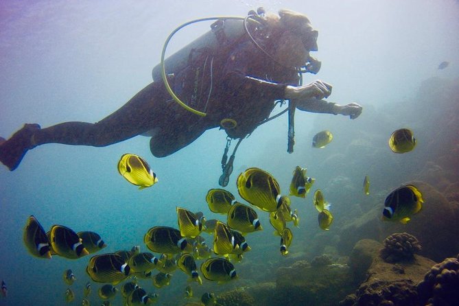 Kauai's Ultimate South Shore 2 Tank Dive (Certified Divers Only) - The Equipment and Support  