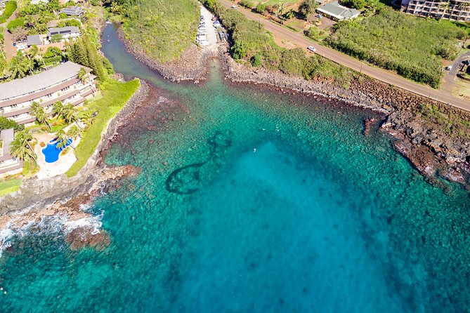 Kauai's Ultimate South Shore 2 Tank Dive (Certified Divers Only) - Pricing and Value  