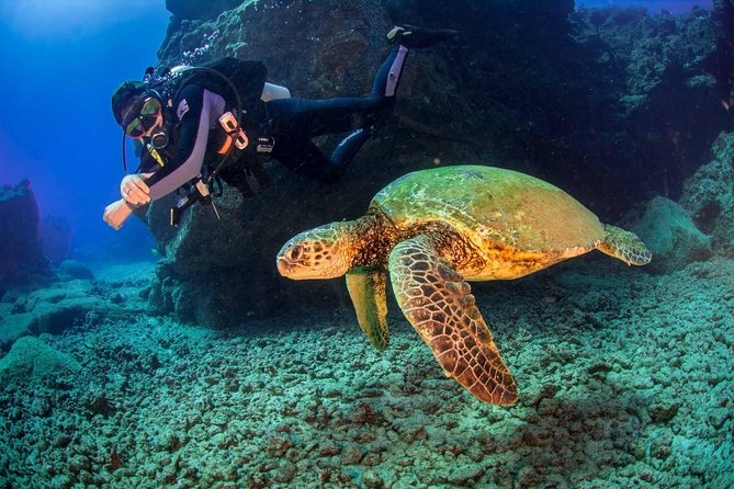 Kauai's Ultimate South Shore 2 Tank Dive (Certified Divers Only) - Practical Tips for Booking and Diving  