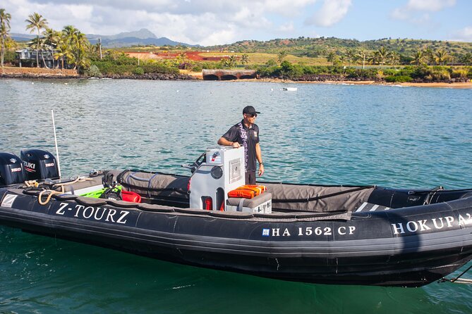 Kauai's Ultimate South Side Whale & Dolphin Zodiac Boat Adventure - The Real Experience: Pros and Cons