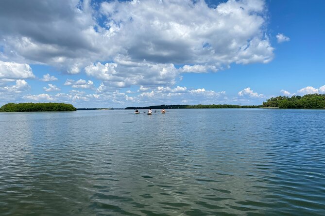 Kayak Adventure at Shell Key Preserve in Tierra Verde - Exploring the Details of the Kayak Tour