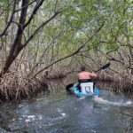 Kayak Adventure at Shell Key Preserve in Tierra Verde - Is It Worth the Price?