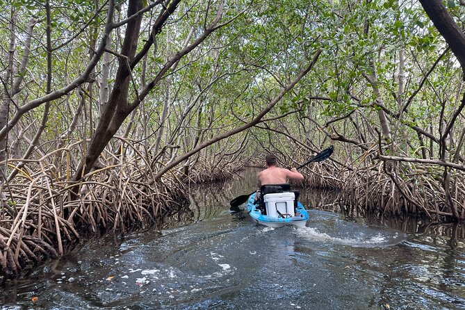 Kayak Adventure at Shell Key Preserve in Tierra Verde - Is It Worth the Price?