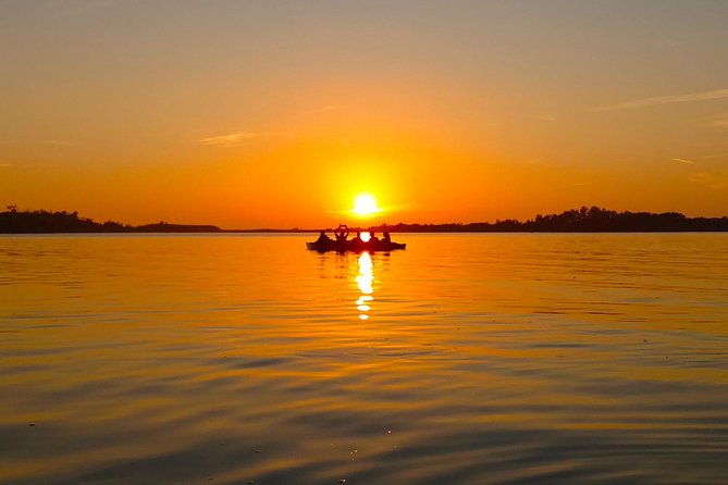Kayak Adventure of Shell Key Preserve & Island with a Local - Key Points