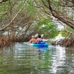 Kayak Adventure of Shell Key Preserve & Island with a Local - Who Should Consider This Tour?