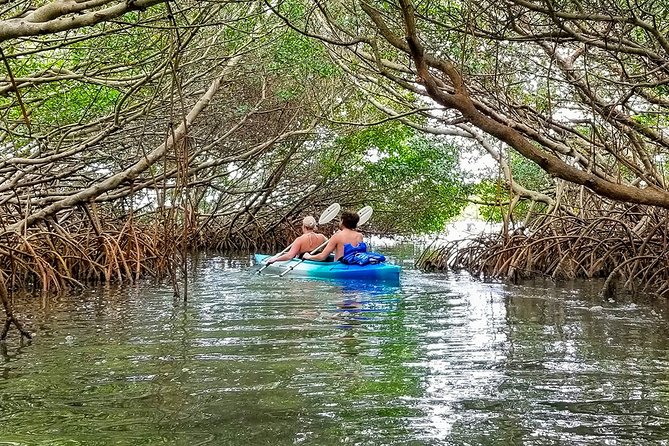 Kayak Adventure of Shell Key Preserve & Island with a Local - Who Should Consider This Tour?
