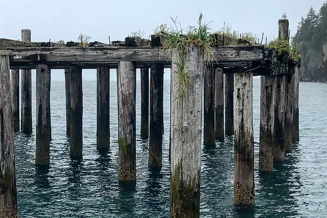 Kayak and Hike to Historic WW2 Army Fort in Alaska! - What Makes This Tour Stand Out
