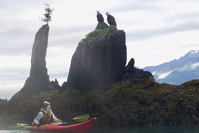 Kayak and Hike to Historic WW2 Army Fort in Alaska! - FAQs