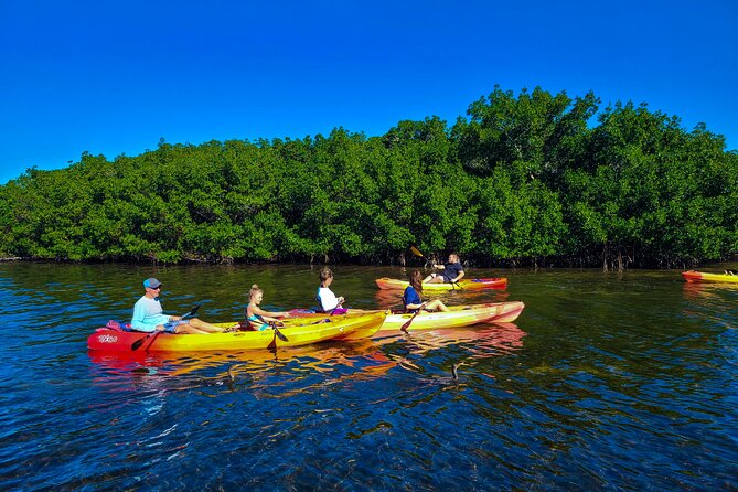 Kayak and Paddleboard Rentals at Siesta Key - Exploring Kayak and Paddleboard Rentals at Siesta Key: An In-Depth Review
