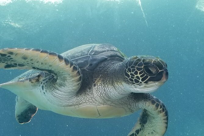 Kayak and Snorkel: Maui West Shore - An In-Depth Look at the Maui West Shore Kayak and Snorkel Tour