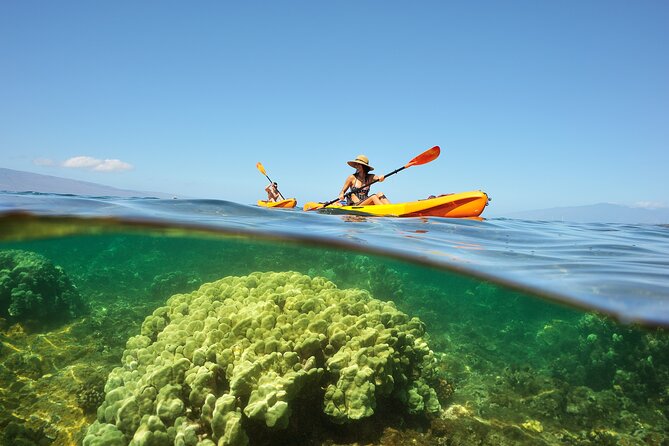 Kayak and Snorkel: Maui West Shore - Who Should Book This Tour?
