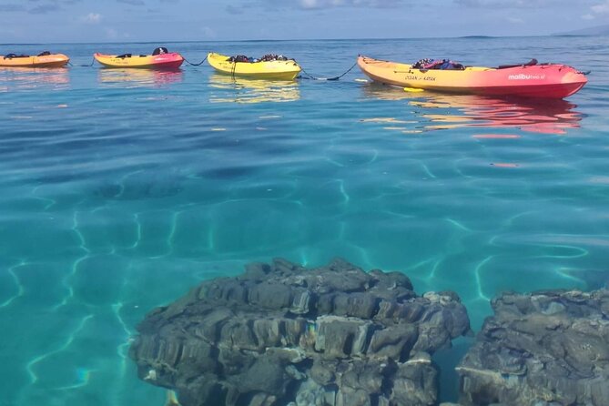 Kayak and Snorkel: Maui West Shore - Frequently Asked Questions