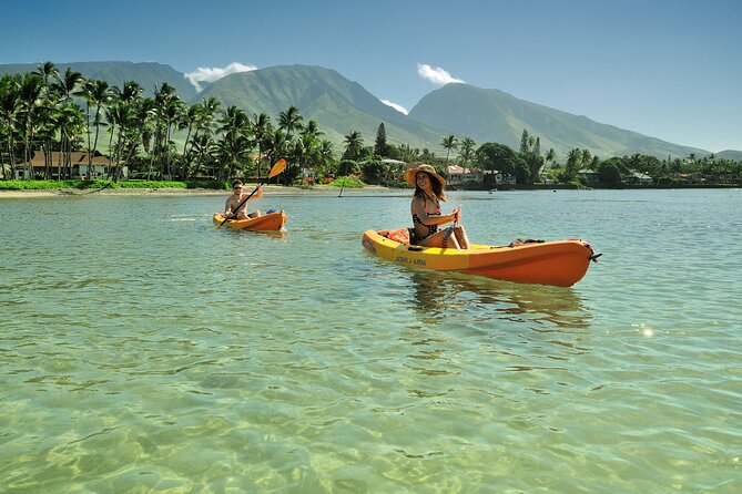 Kayak and Snorkel: Maui West Shore - Final Thoughts