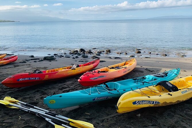 Kayak and Snorkel: Maui West Shore - Final Wrap-up