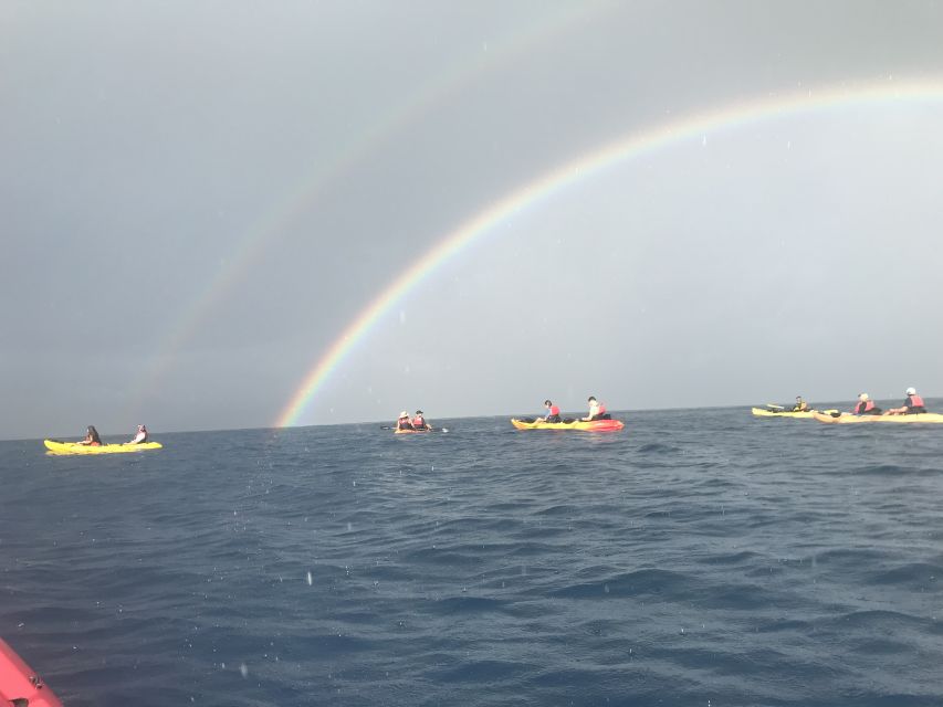 Kayak and Snorkel West Maui at Olowalu - Key Points