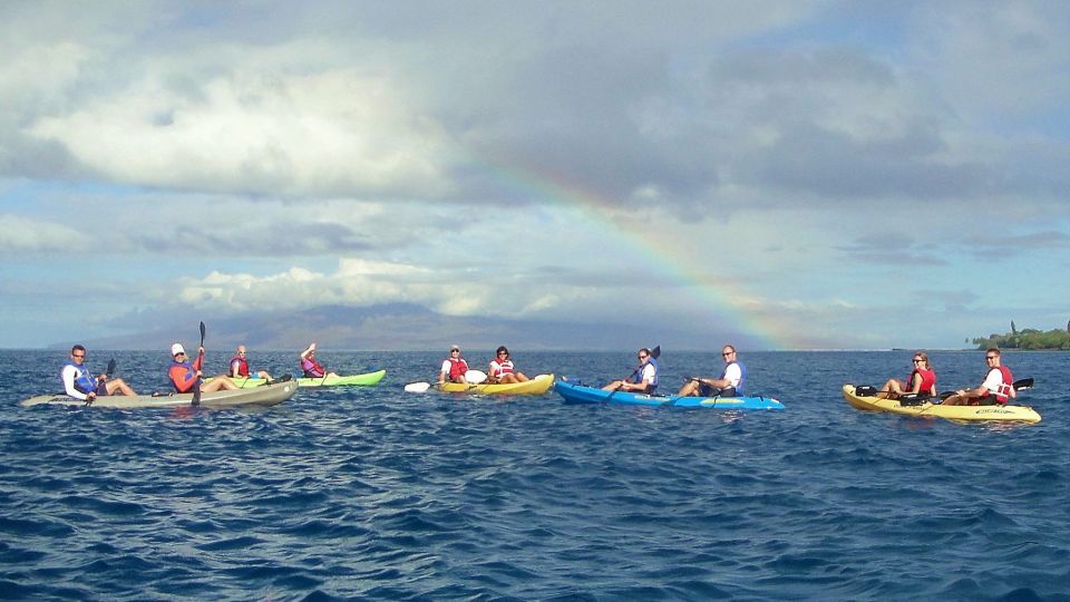 Kayak and Snorkel West Maui at Olowalu - An In-Depth Look at the Tour Experience