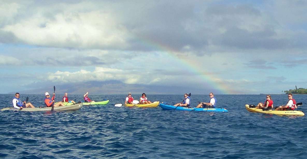 Kayak and Snorkel West Maui at Olowalu - Who Is This Tour Best For?