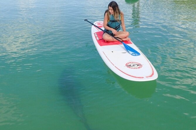 Kayak and SUP Rentals - Big Hickory Island - Fort Myers Beach, FL - Exploring Kayak and SUP Rentals at Big Hickory Island: A Practical Guide