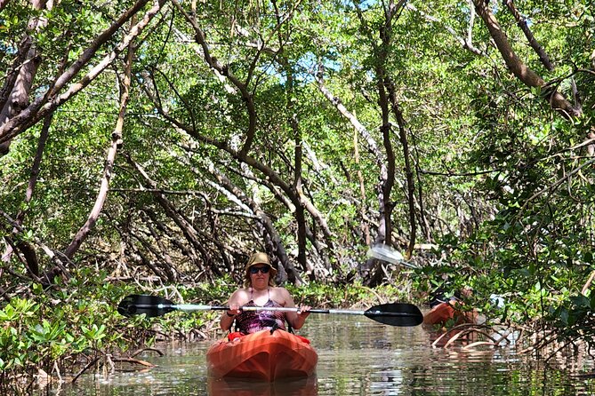 Kayak and SUP Rentals - Big Hickory Island - Fort Myers Beach, FL - Key Points