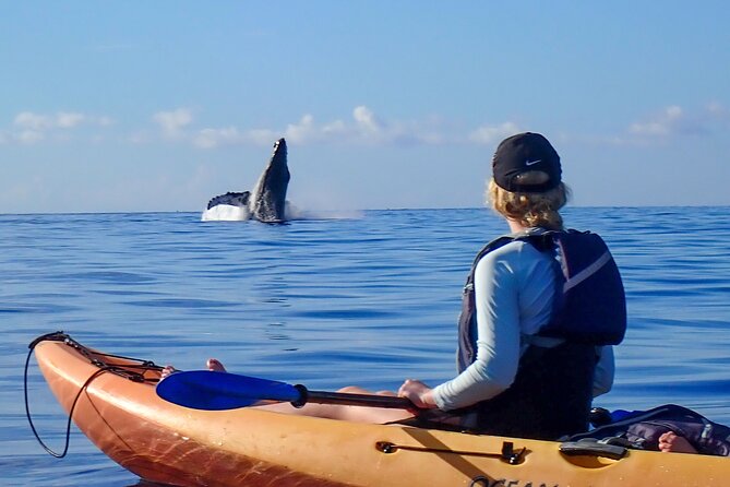 Kayak and Whale Watching Tour - Why This Kayak and Whale Watching Tour Is a Must-Do