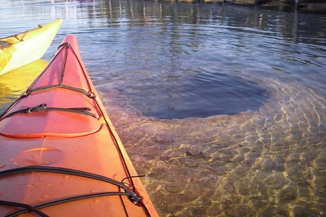 Kayak Day Paddle on Yellowstone Lake - Exploring the Itinerary: What Makes This Tour Special
