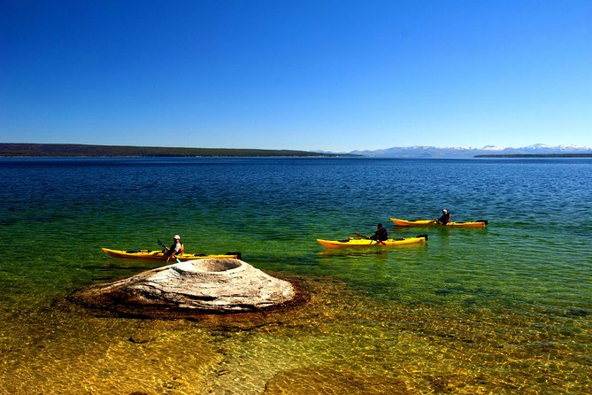 Kayak Day Paddle on Yellowstone Lake - Practical Tips for the Best Experience
