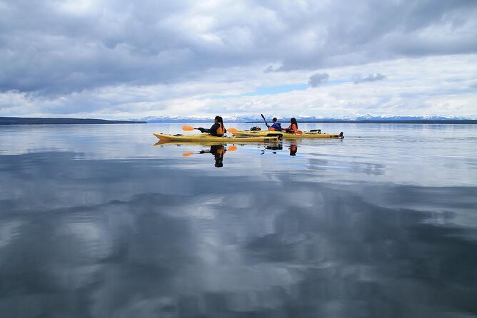 Kayak Day Paddle on Yellowstone Lake - Who Should Consider This Experience?