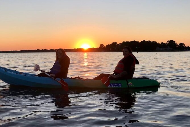 Kayak Dolphin Experience in Virginia Beach Must know how to swim - Key Points
