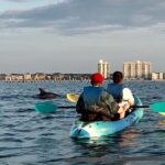 Kayak Dolphin Experience in Virginia Beach Must know how to swim - Why this Tour Works Well